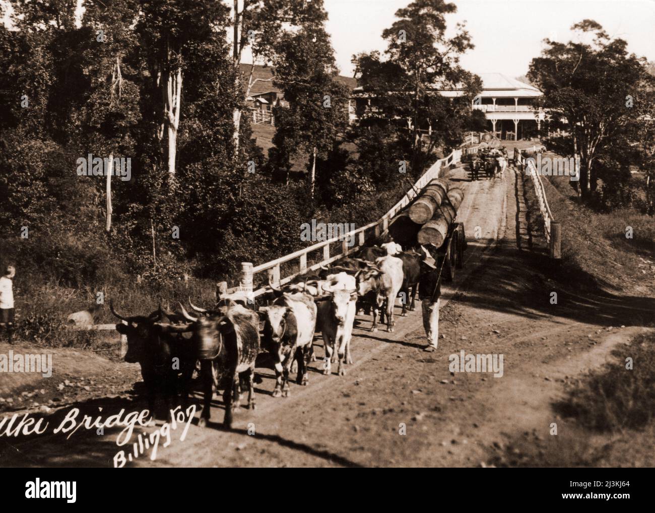 Timber wagons hi-res stock photography and images - Alamy