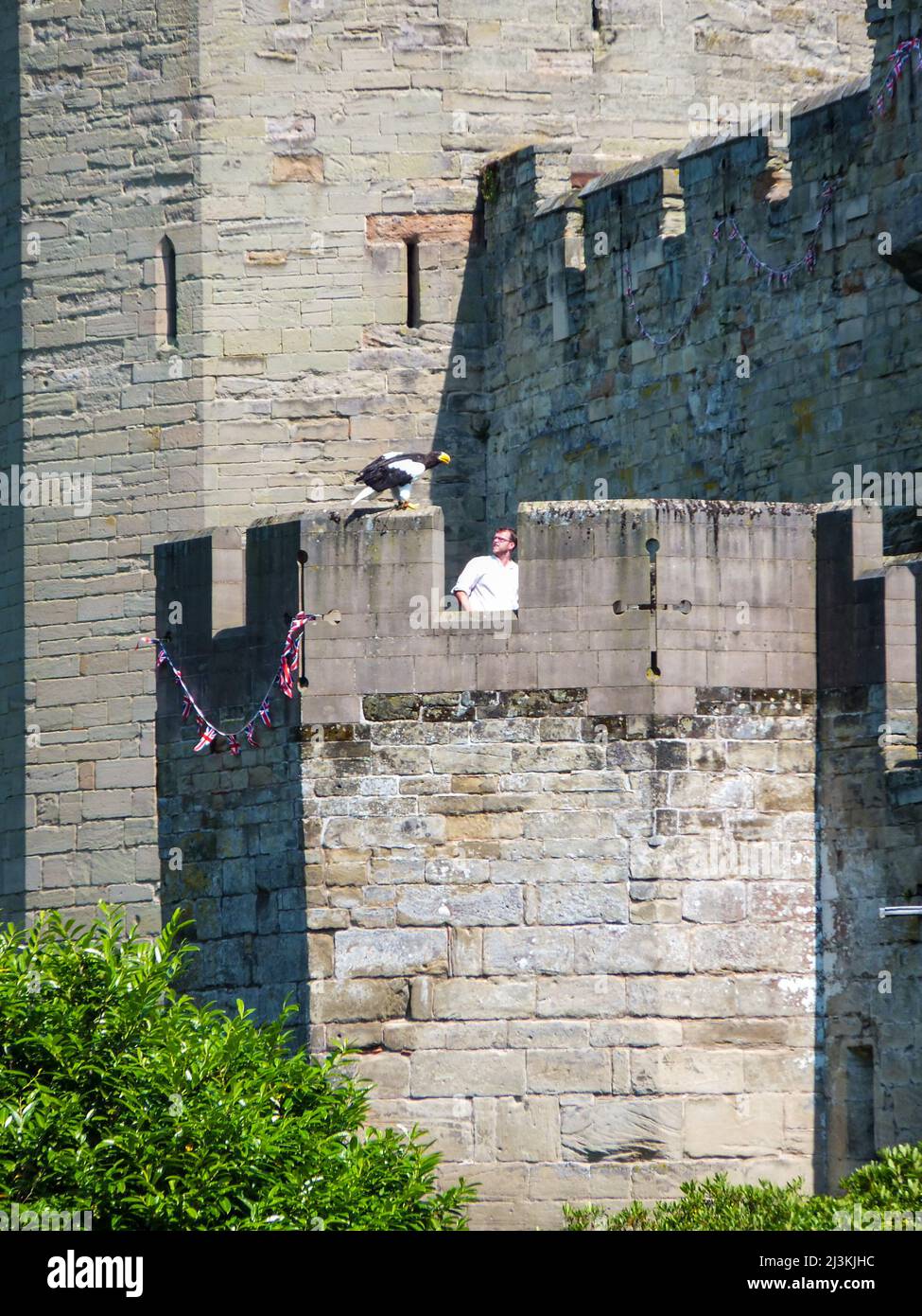 Castellated structure hi-res stock photography and images - Alamy