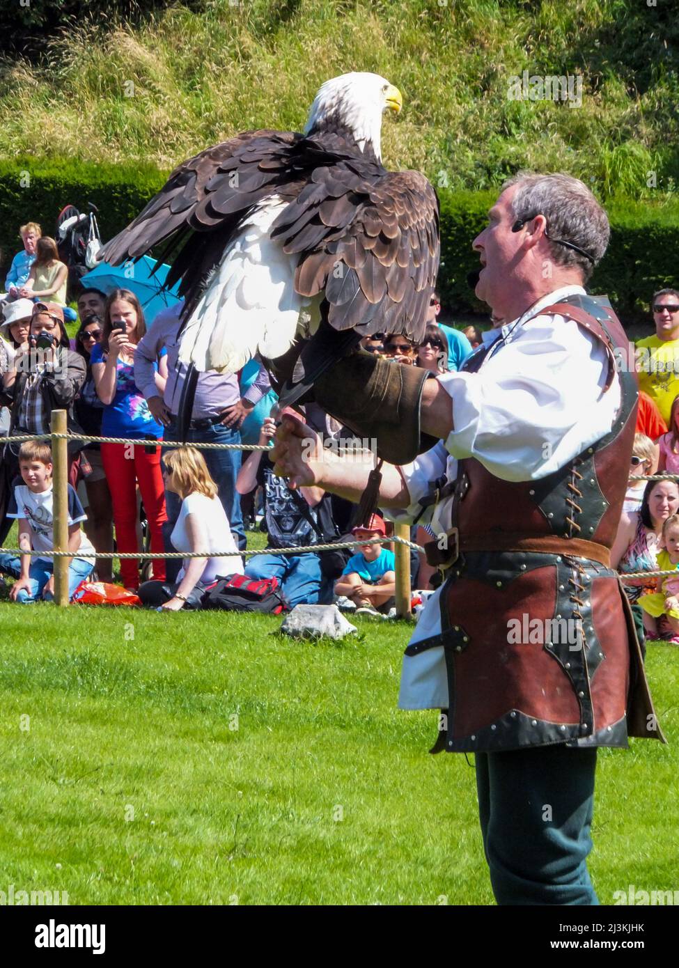 A crowd watches a Bald Eagle and his handler, part of the Falconer's ...