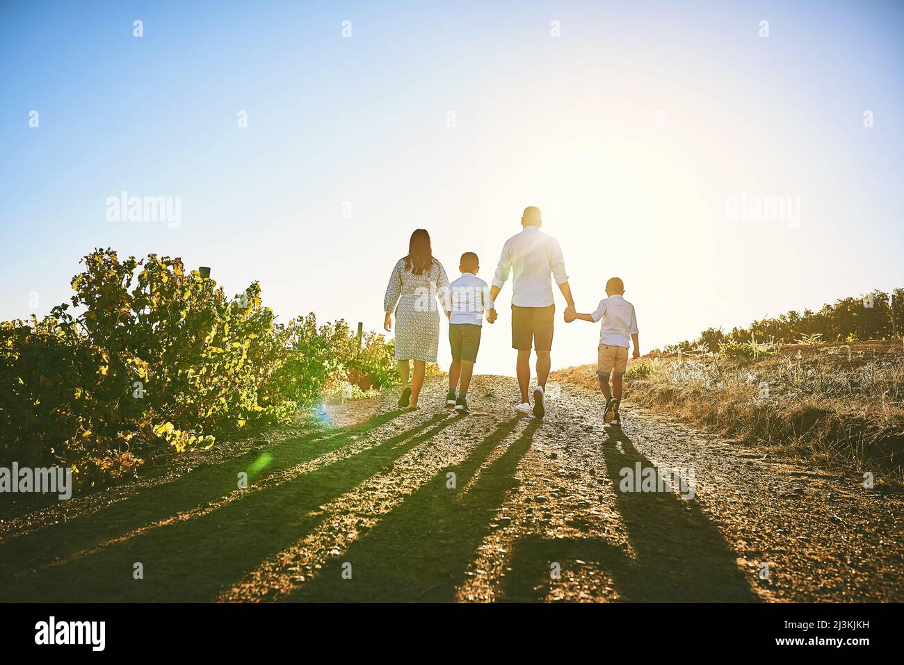 Hand in hand is when theyre happiest. Rearview shot of a family bonding ...