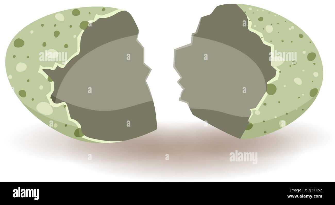 Egg shell cracking on white background illustration Stock Vector Image ...