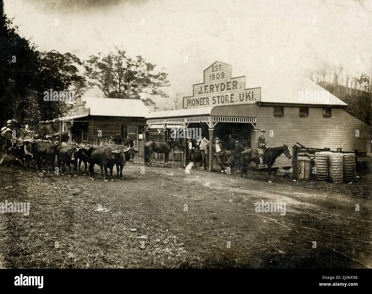 The main street of Uki, with J.F.Ryder Pioneer Store and a Bullock ...