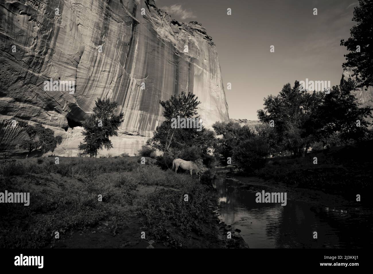 Sheer rock face and a horse grazing on grass below in a tranquil scene ...