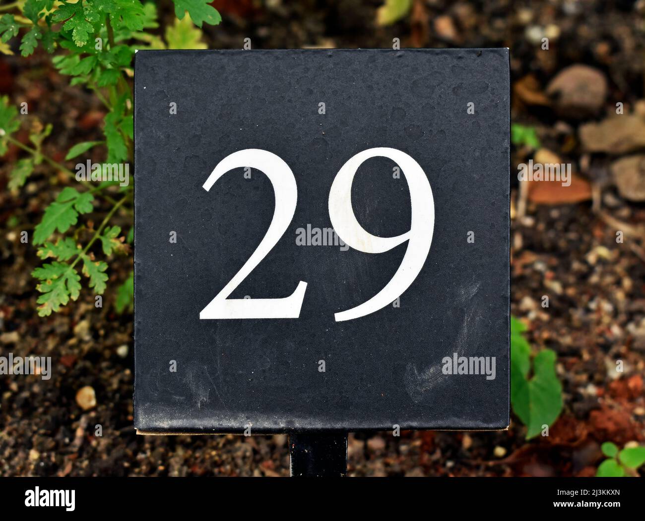 Number 29 hi-res stock photography and images - Alamy