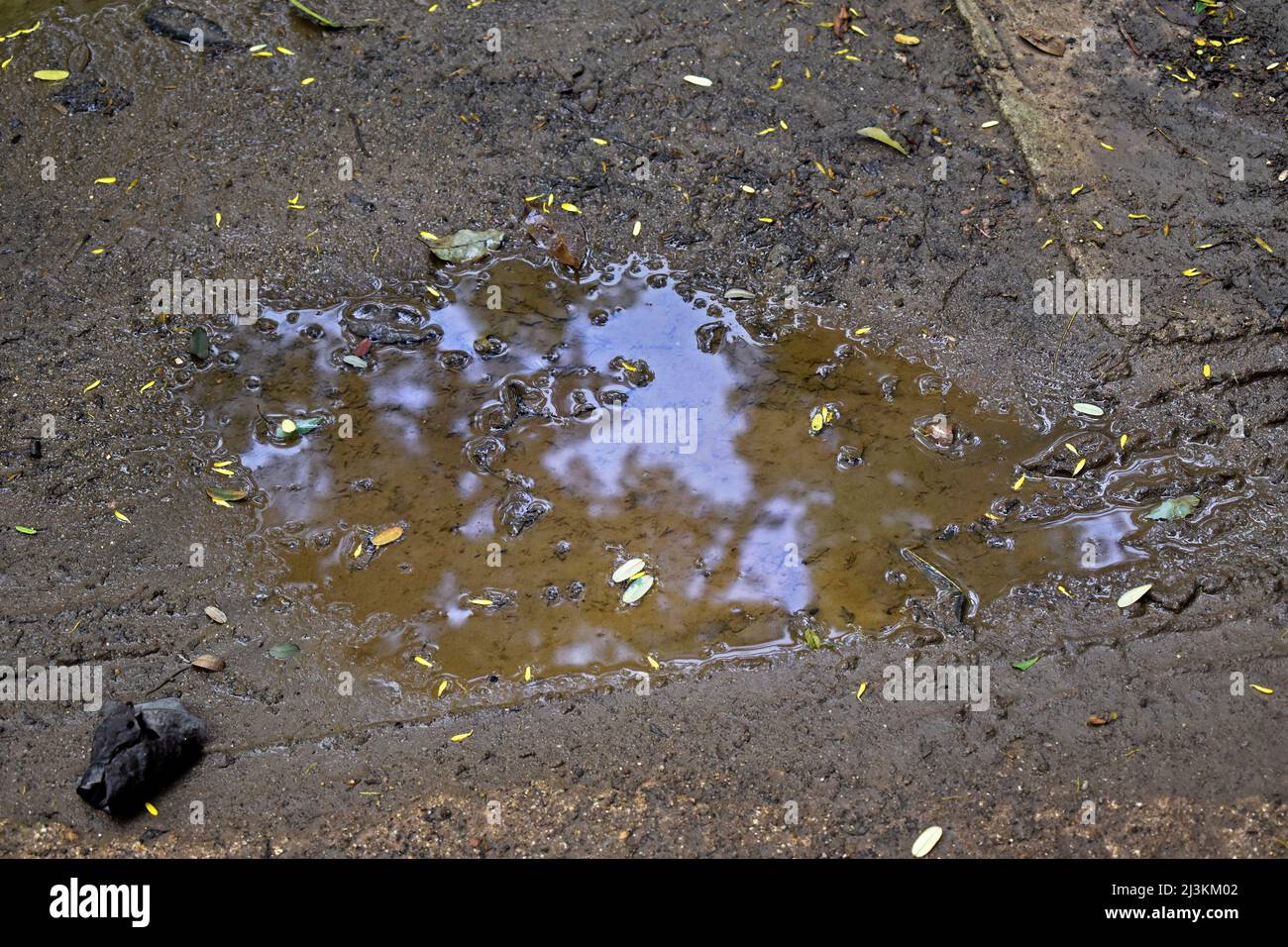 Wet brown puddle texture hi-res stock photography and images - Alamy