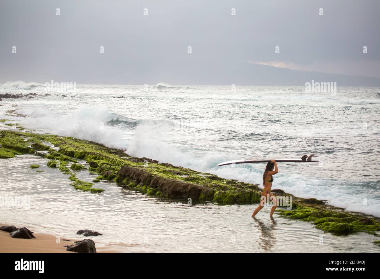 A professional surfer carries her surfboard out toward the waves Stock ...