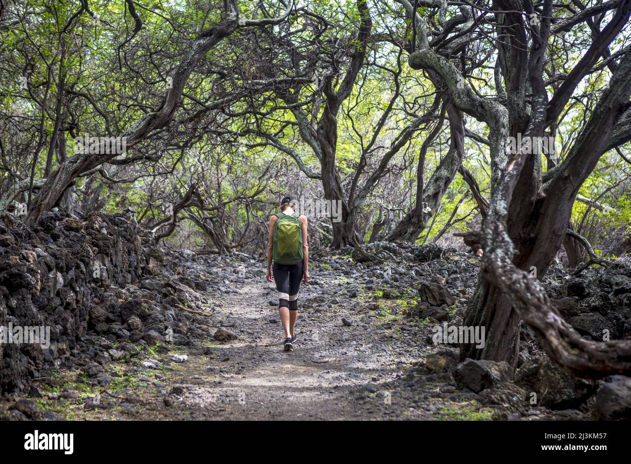 A woman walks along a trail in the Ahihi-Kinau Natural Area Reserve ...
