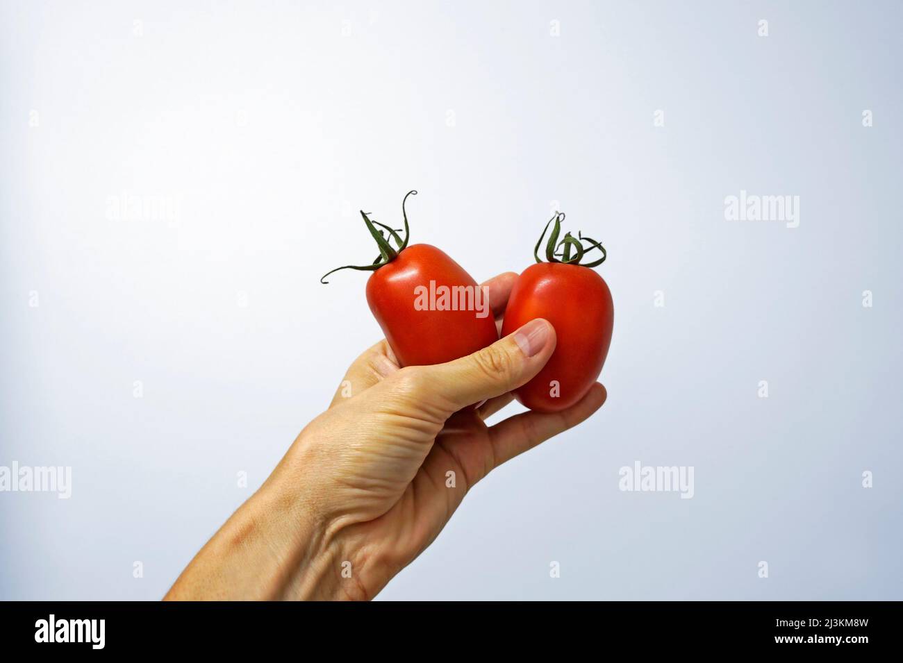 Hand with tomatoes hi-res stock photography and images - Alamy