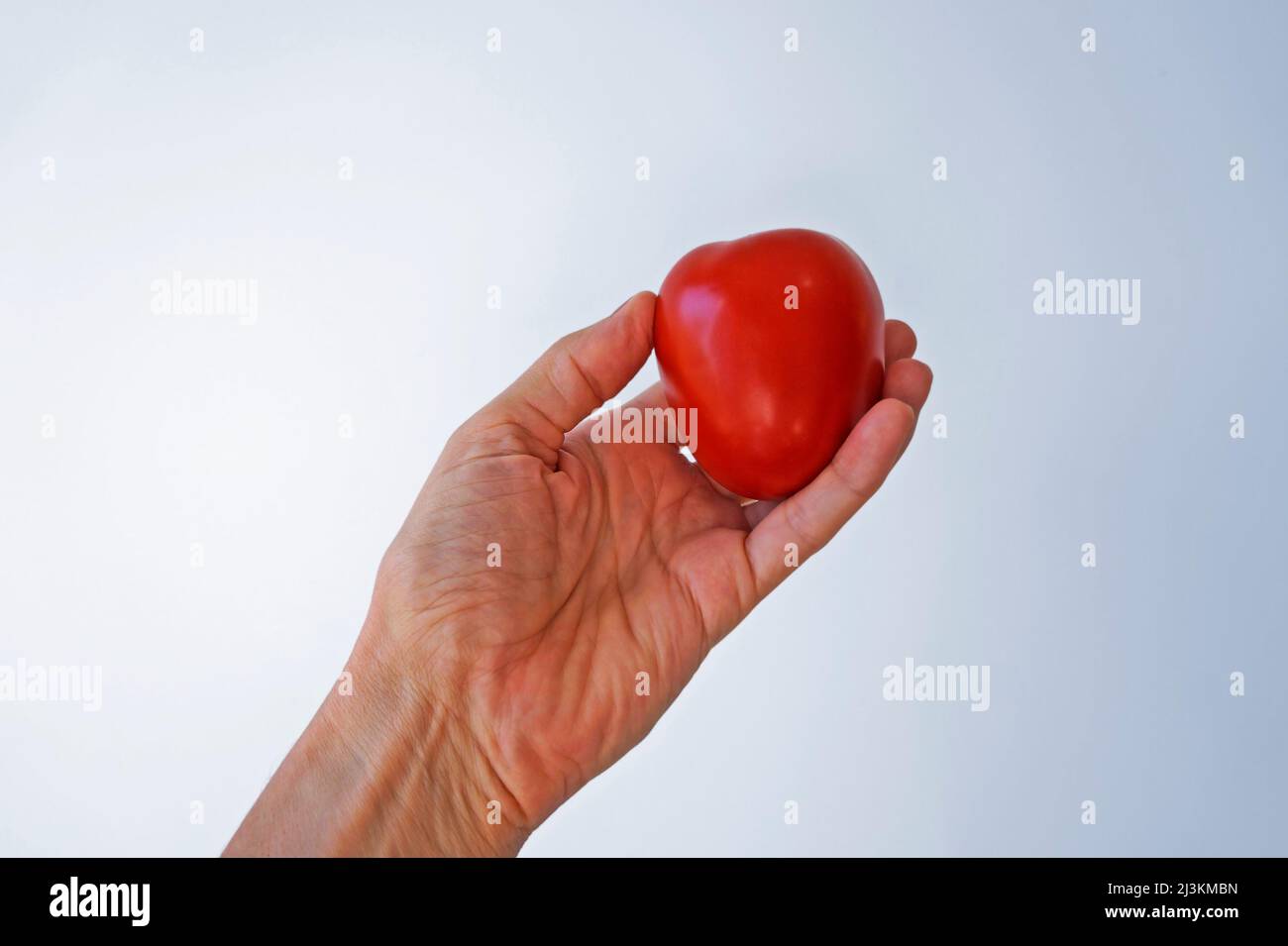 Hand tomato hi-res stock photography and images - Alamy