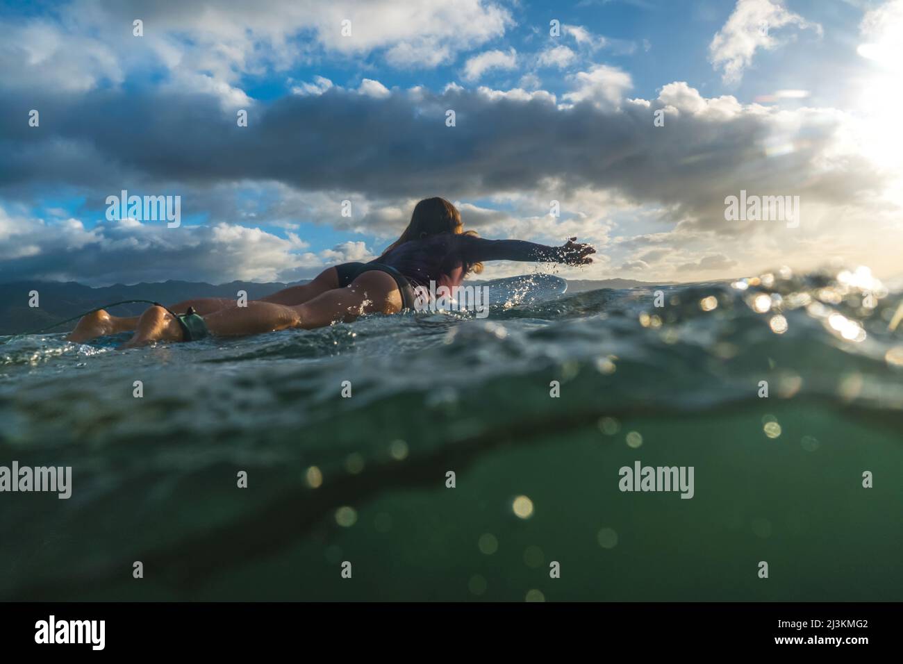 Woman surfboard hawaii hi-res stock photography and images - Alamy