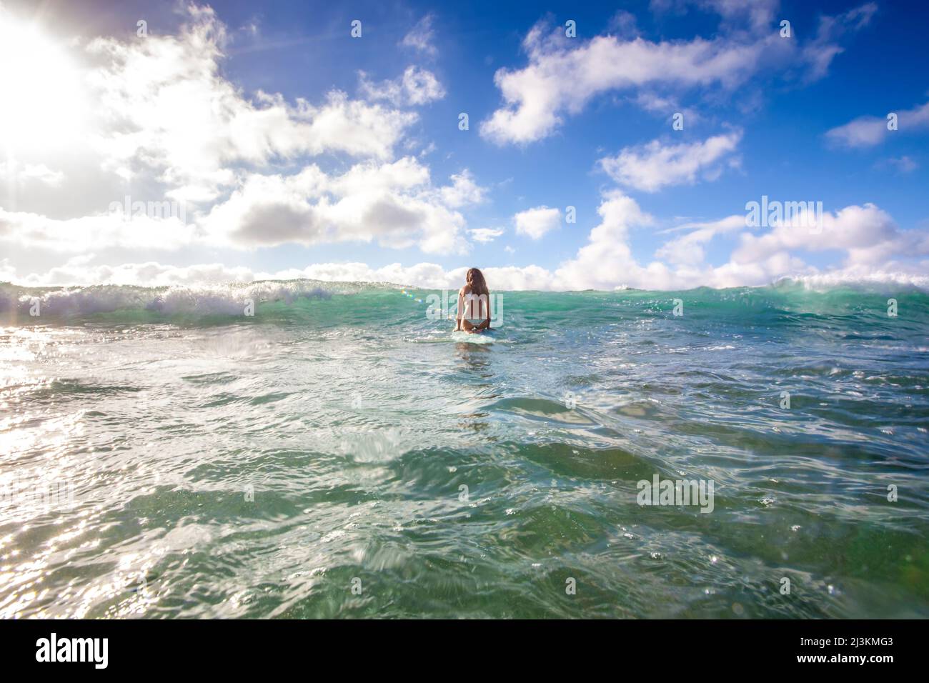 A longboarder paddles out to catch another wave Stock Photo - Alamy