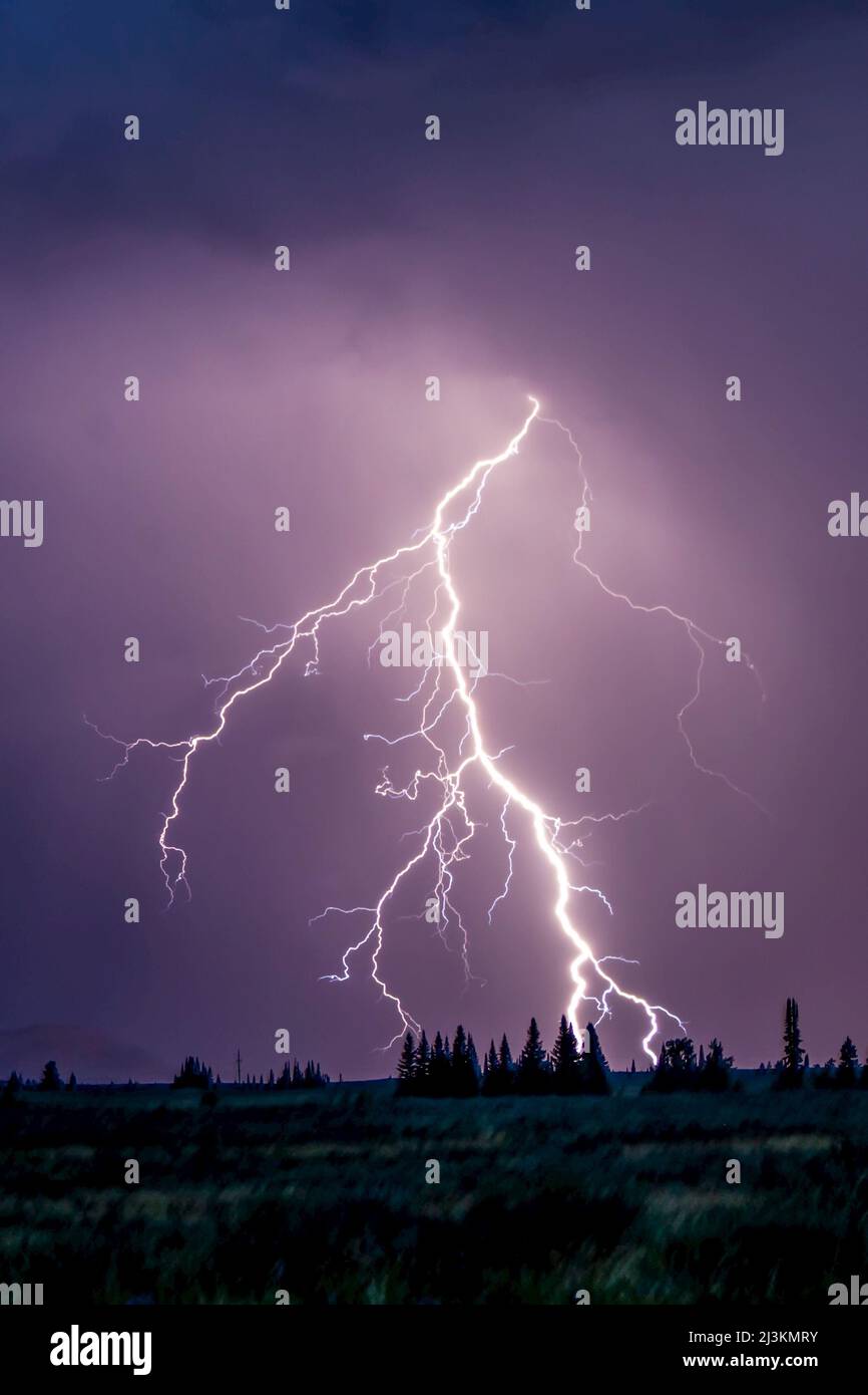 Vertical lightning storm hi-res stock photography and images - Alamy