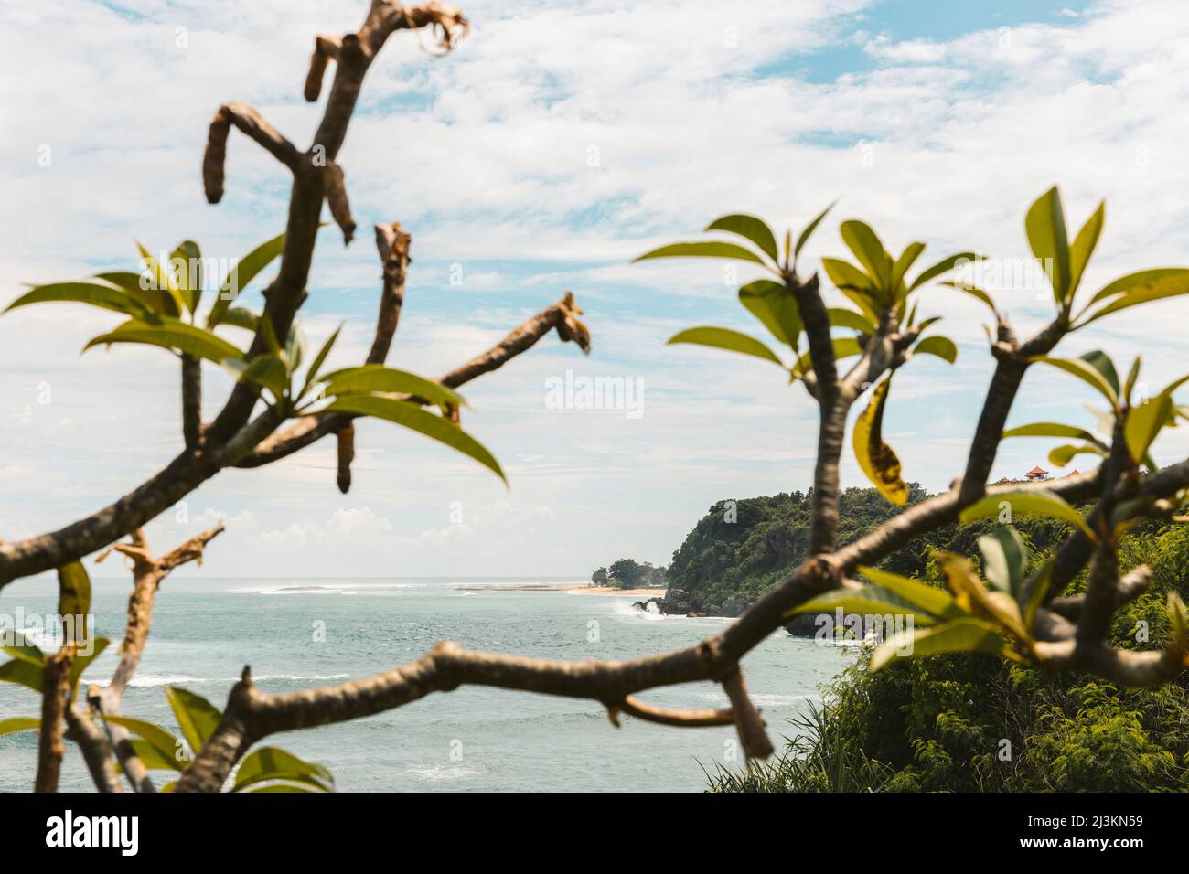 View through tropical tree branch with leaves at the ocean coast along ...