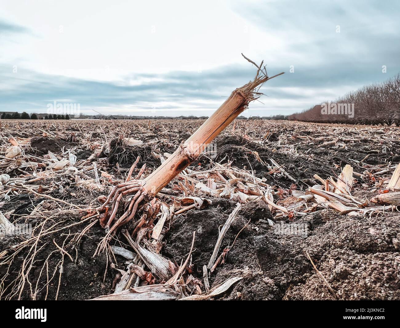 Disced hi-res stock photography and images - Alamy