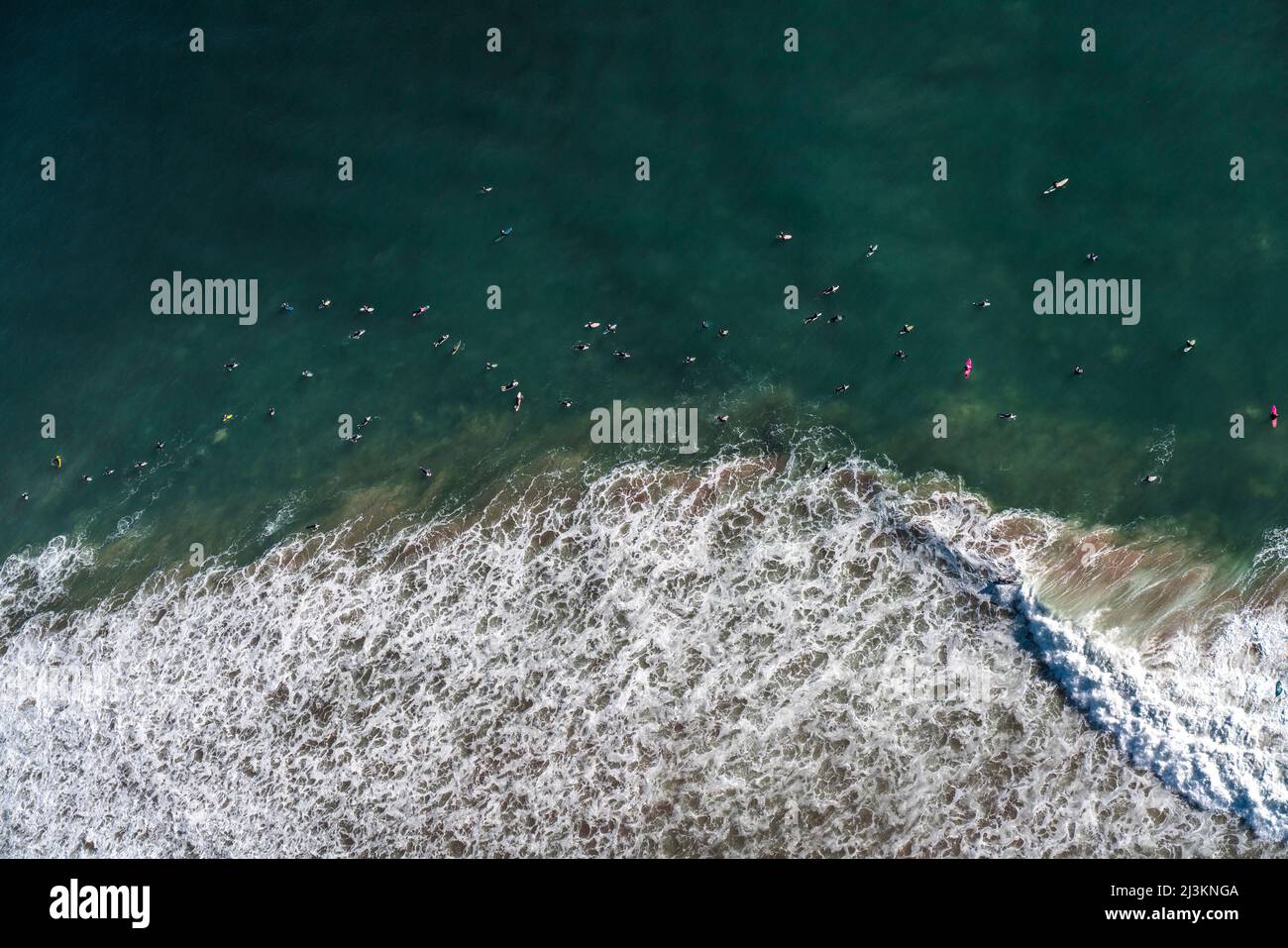 Aerial view of surfers paddling out to sea at Rincon Point; Carpinteria ...