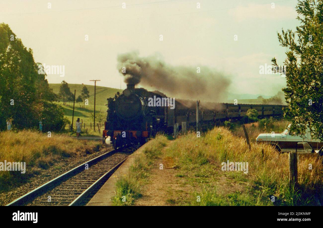 The Steam Train on the Murwillumbah railway line in 1988, viewed from ...