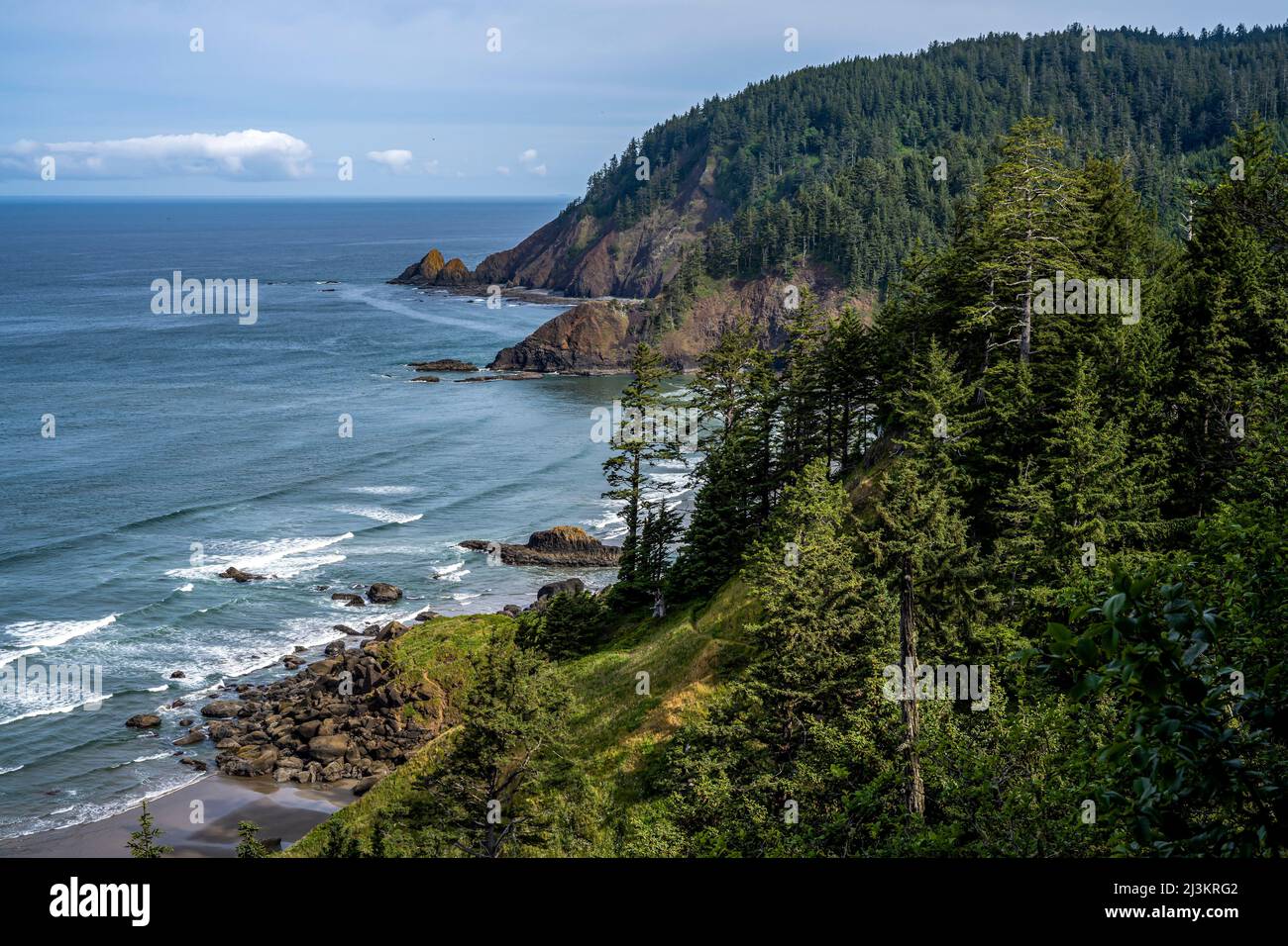 Forested coastline at Ecola State Park on the North Oregon Coast ...