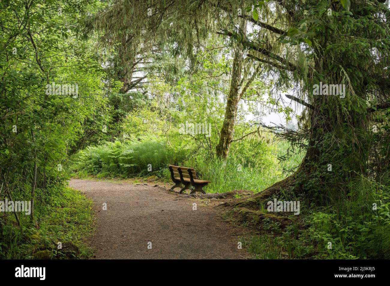 A bench with a view invites hikers to sit down and rest in Lewis and ...