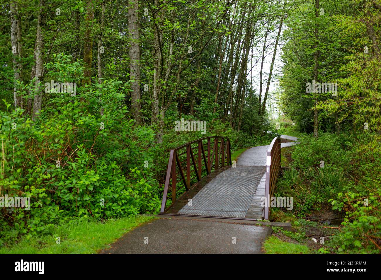 Surrey footbridge hi-res stock photography and images - Alamy
