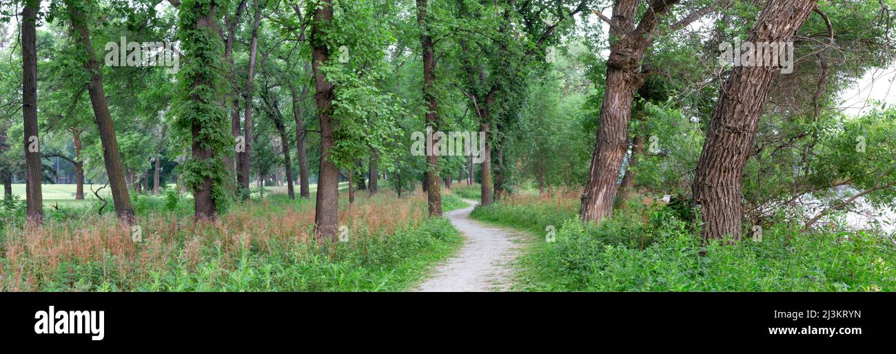 Trail through the trees in the forest of Fraser's Grove Park along Red ...