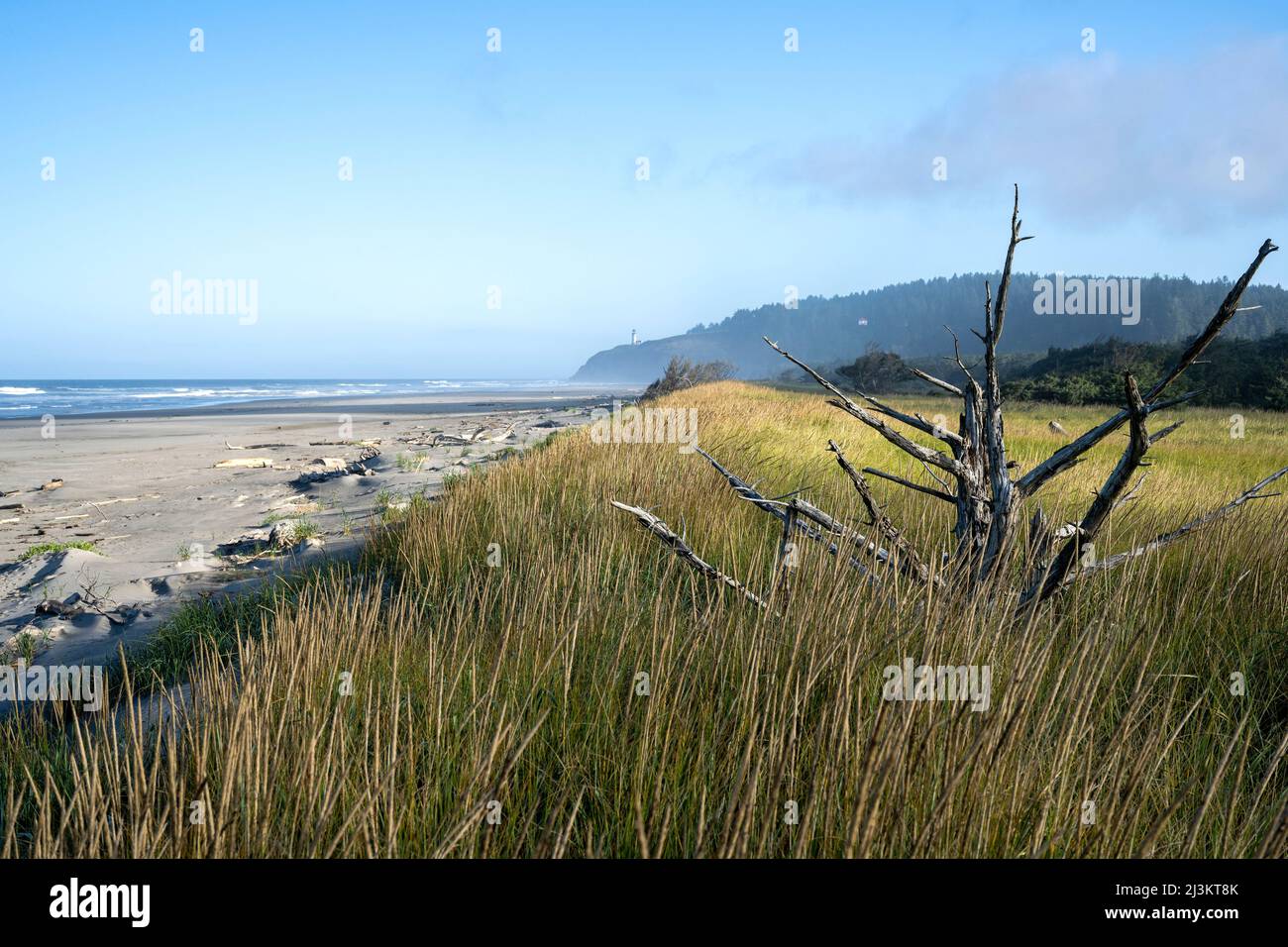 Cape disappointment fog hi-res stock photography and images - Alamy