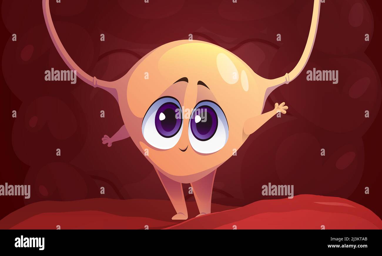 Human bladder funny cartoon character. Kawaii internal organ, urinary ...