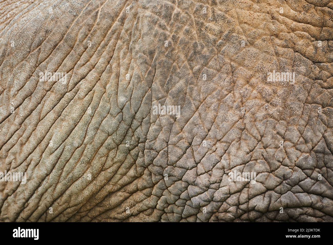 African textures hi-res stock photography and images - Alamy