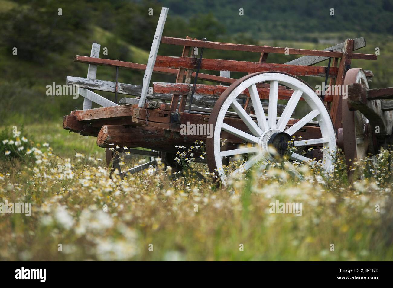 Old farm cart near Hosterial Las Torres, Torres del Paine National Park ...