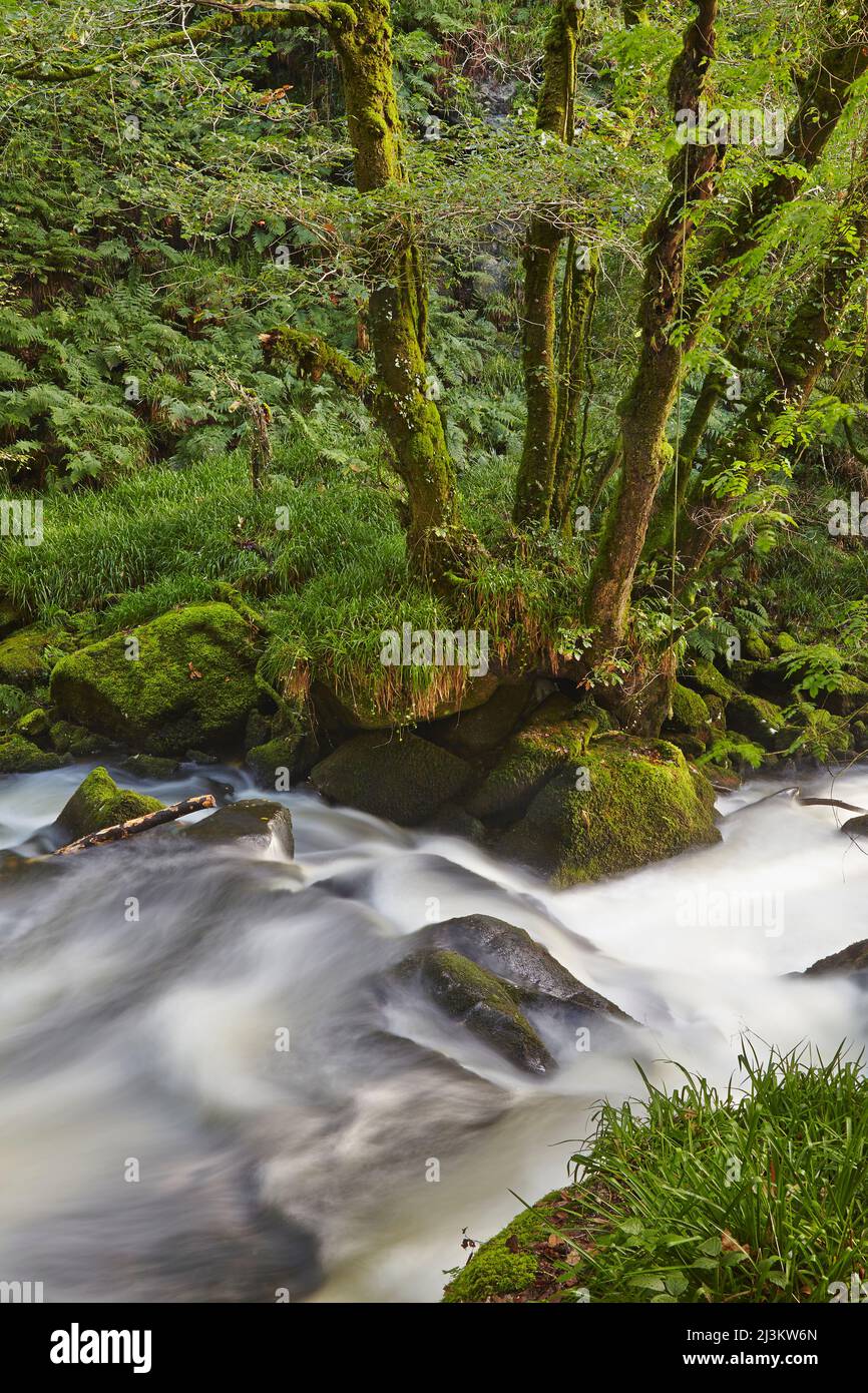 Liskeard tourist hi-res stock photography and images - Alamy