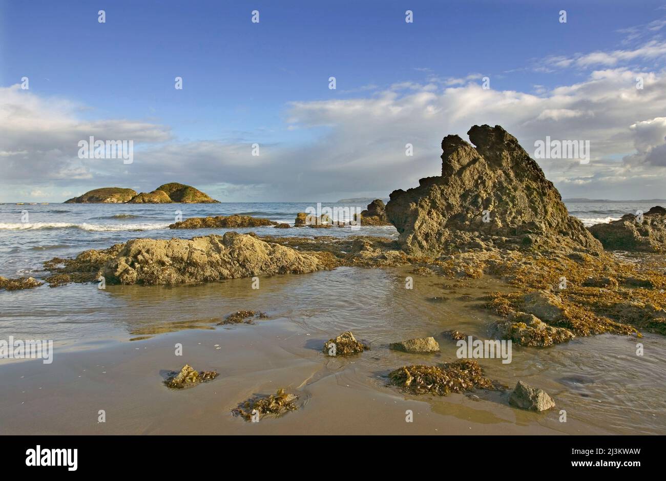 A beach scene at low tide, on Patagonia's Pacific coast, in Chile Stock ...