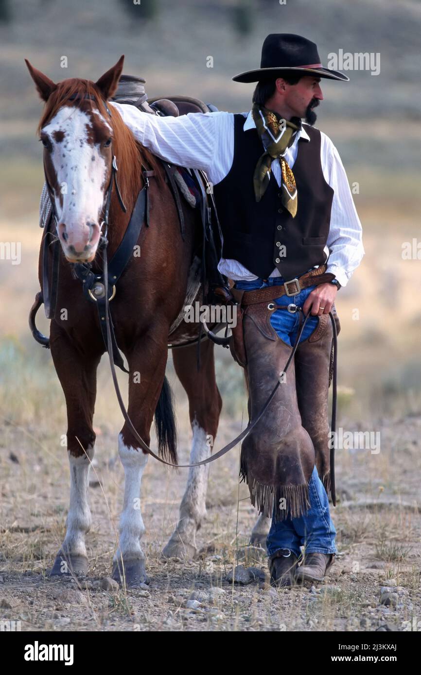 Cowboy waiting with horse; Seneca, Oregon, United States of America ...