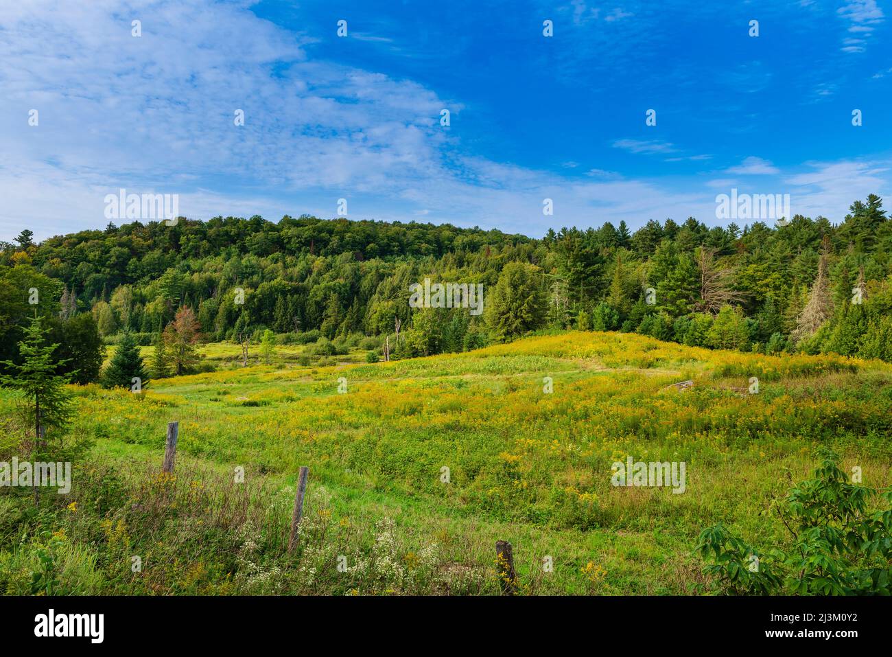 Canada quebec countryside hi-res stock photography and images - Alamy