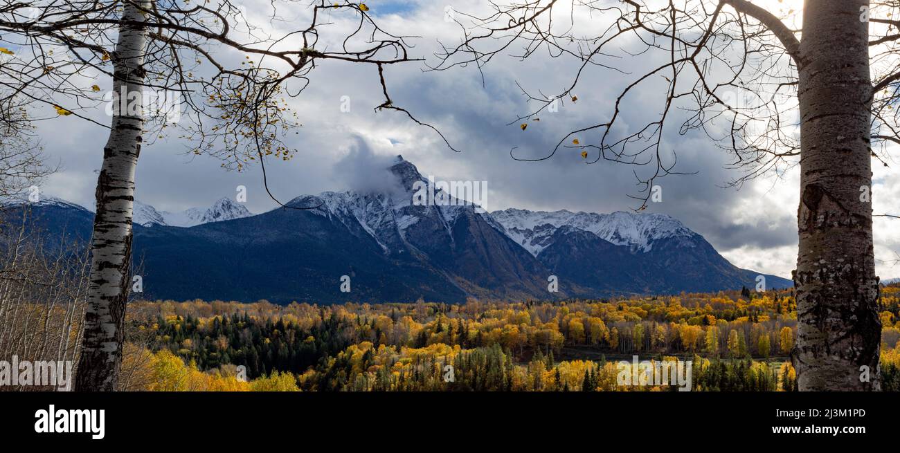 Vast range of colours hi-res stock photography and images - Alamy