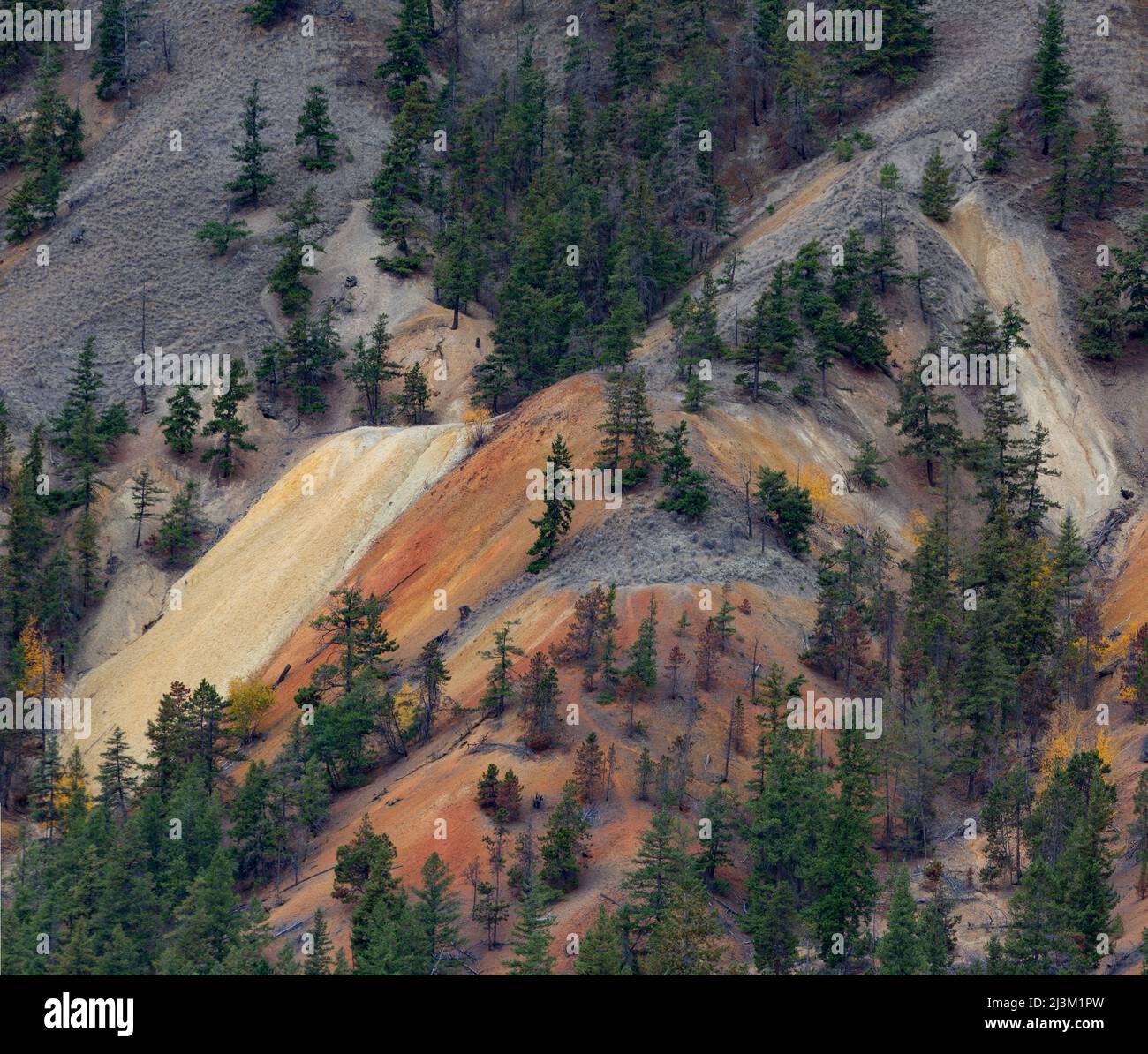 Silt and erosion on a mountainside with trees creates a colourful ...