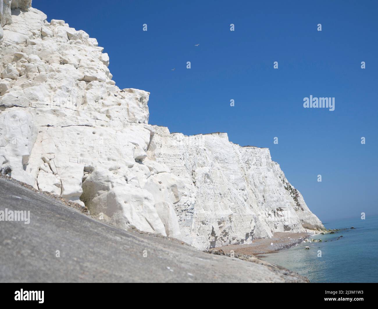 White chalk cliffs in full sun with blue calm sea and seagulls ...