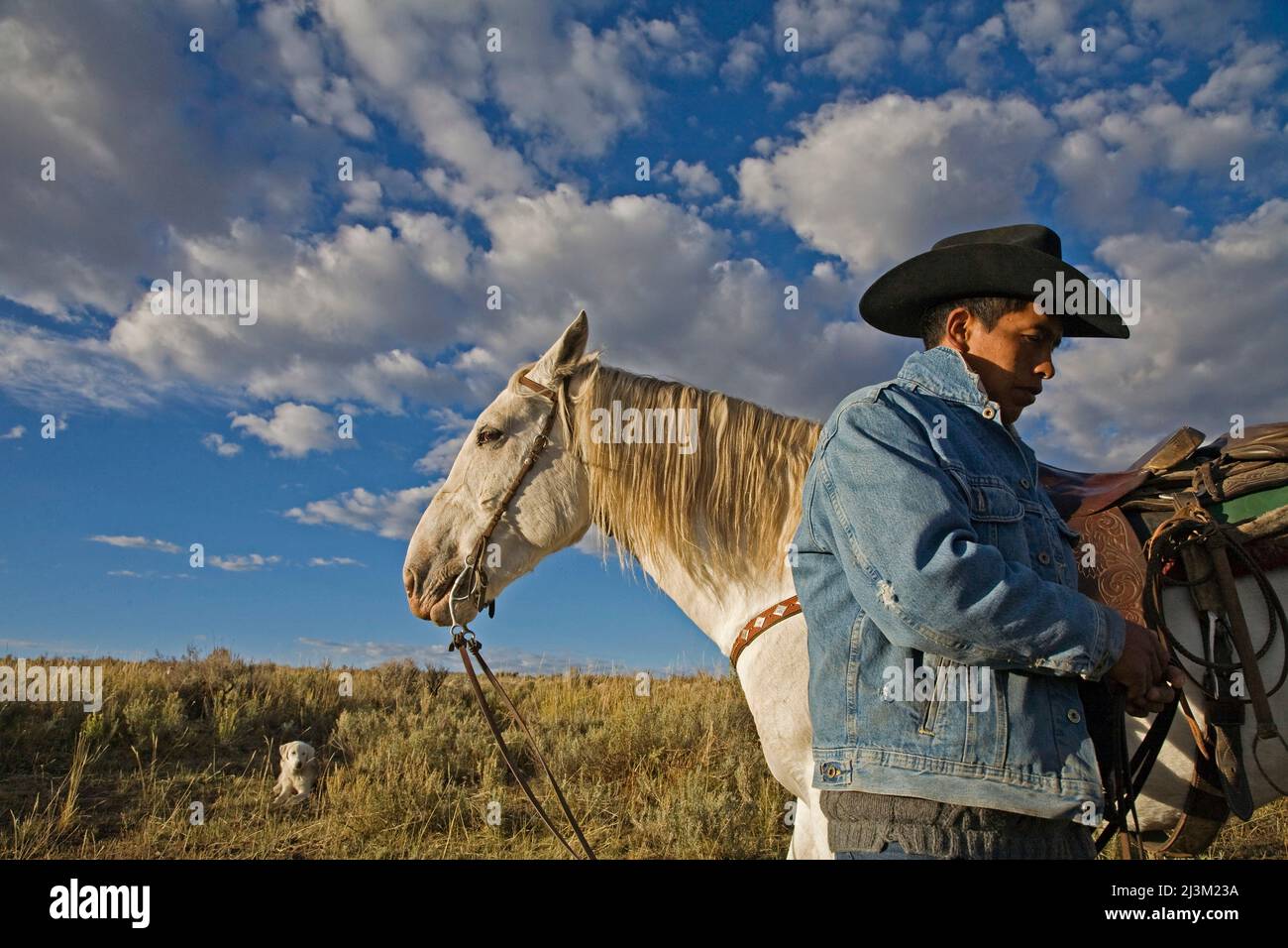 A once wild horse now works the Wyoming range with a sheepherder ...