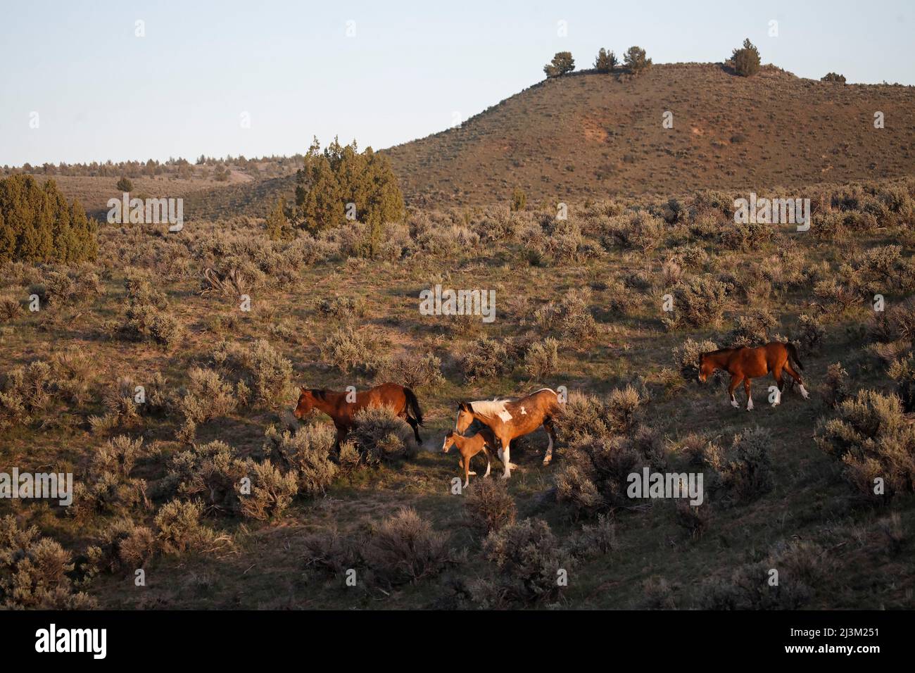 High management hi-res stock photography and images - Alamy