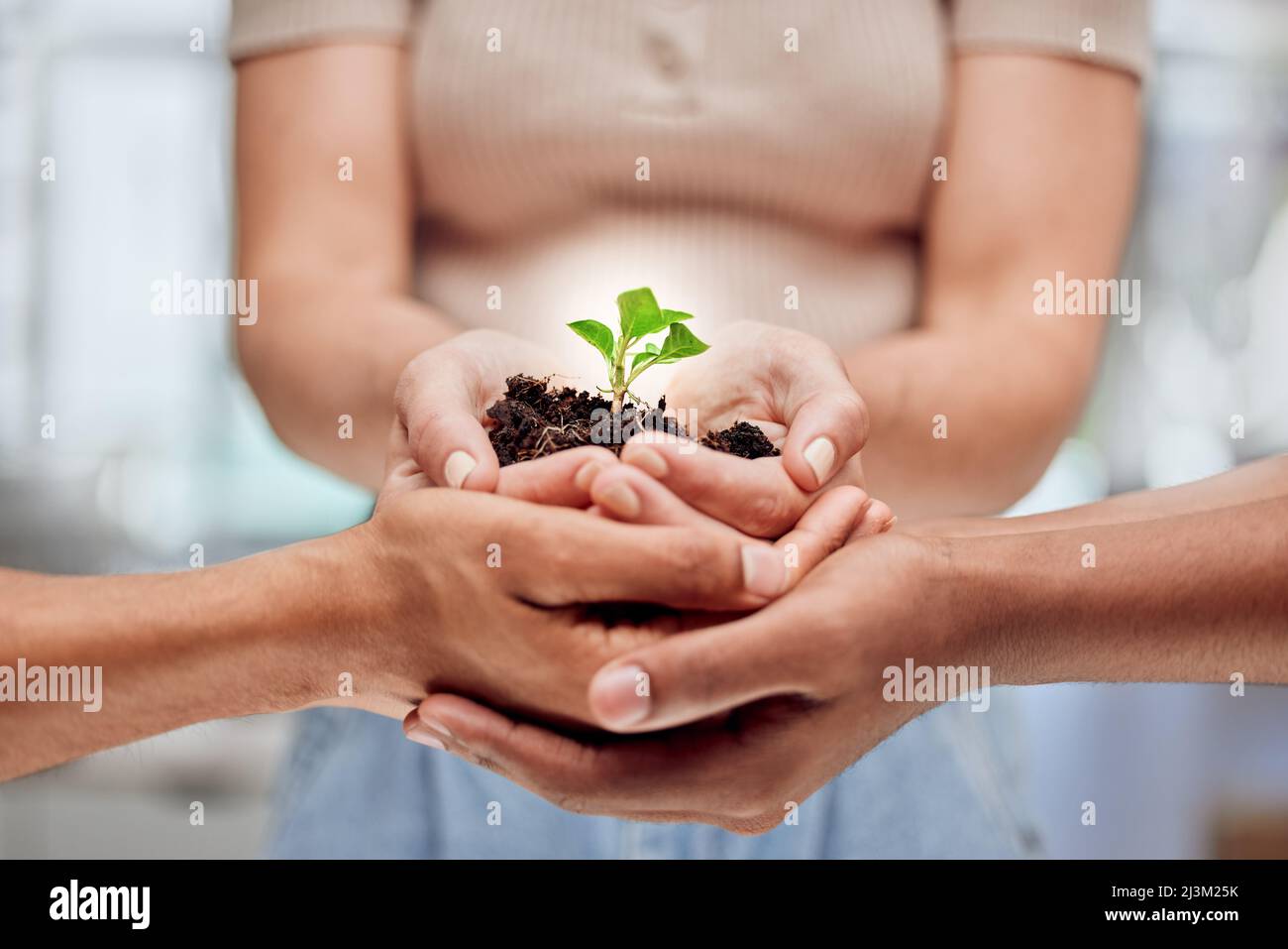 When you take care of things, they grow. Shot of a group of ...