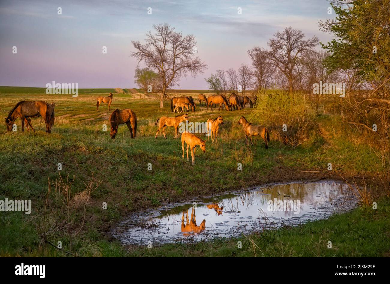 Gila wilderness hi-res stock photography and images - Alamy