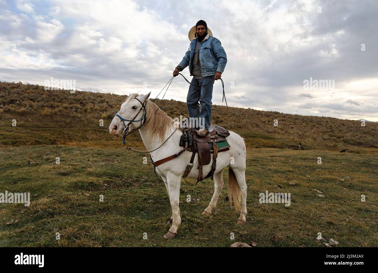 A once wild horse now works the Wyoming range with a sheepherder ...
