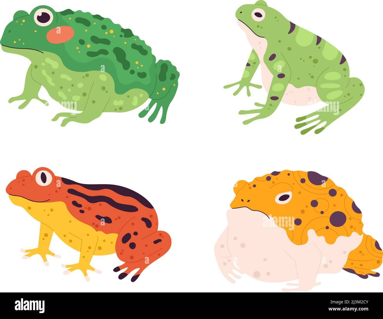 Amazon amphibians Stock Vector Images - Alamy