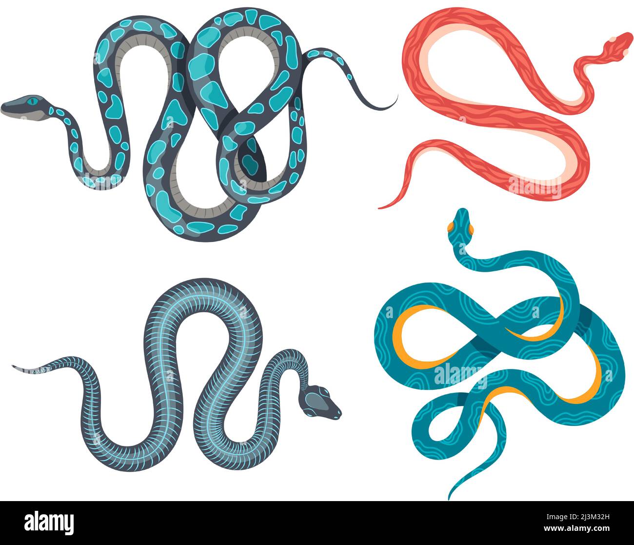 Mystic snakes. Poisonous esoteric animals with colorful skin. Dangerous ...