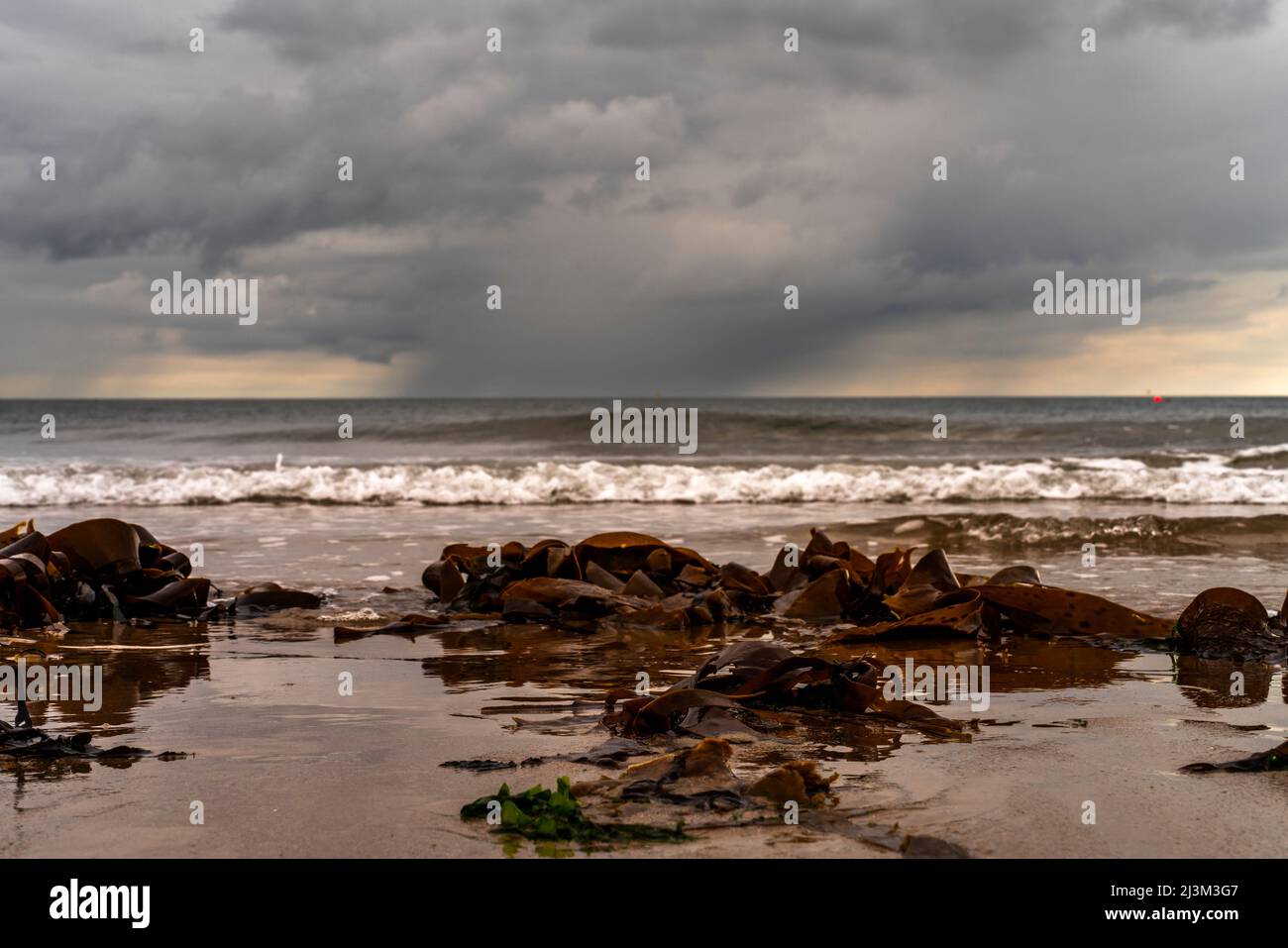 Storm clouds and rainfall over the ocean in the distant horizon with ...