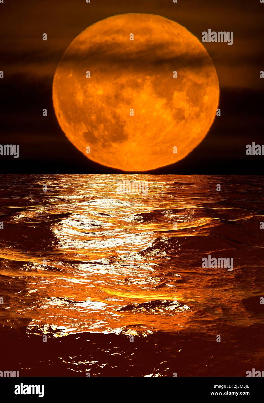 Harvest Moon Photography