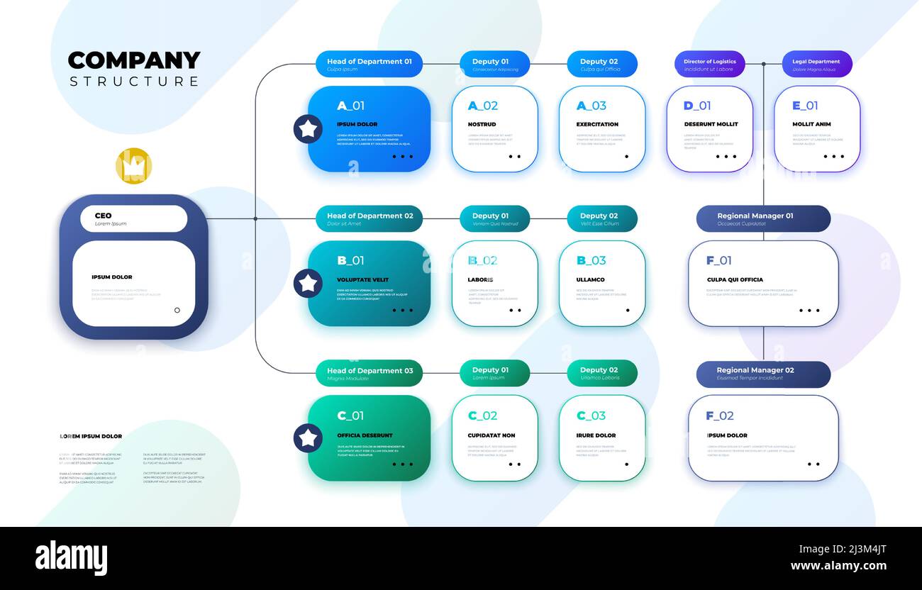 Company structure. Business organization scheme infographic, corporate hierarchy graphic ...