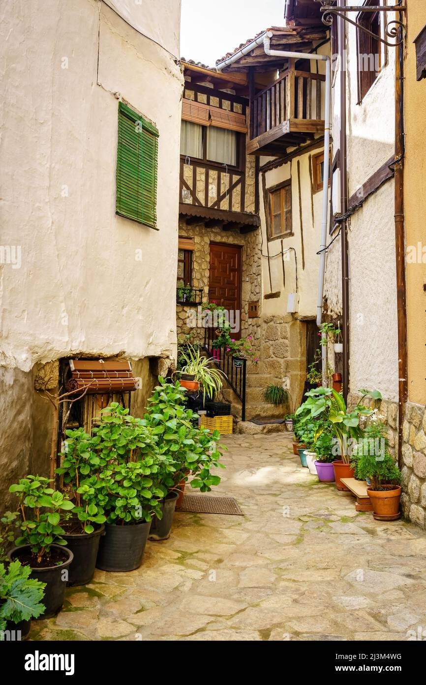 Old village alley with flowers and plants on the street, Salamanca ...