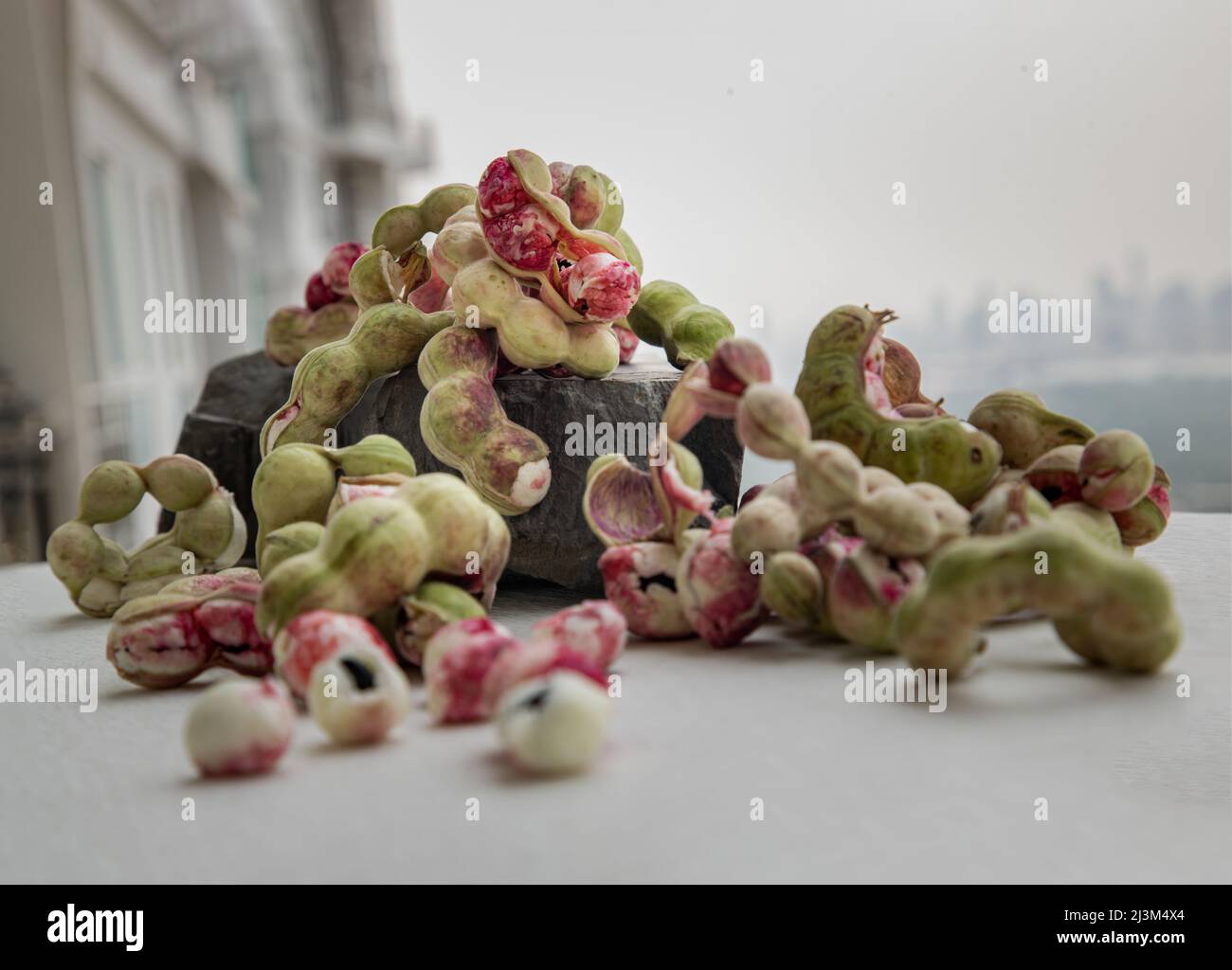 Group of Manila tamarind fruit or Pithecellobium dulce is another type ...