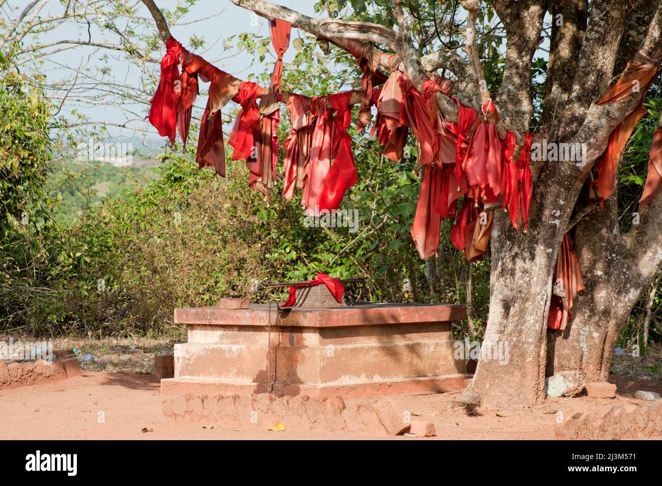 Religious cloths hanging on tree near Chittumala Amman Temple at Kollam ...