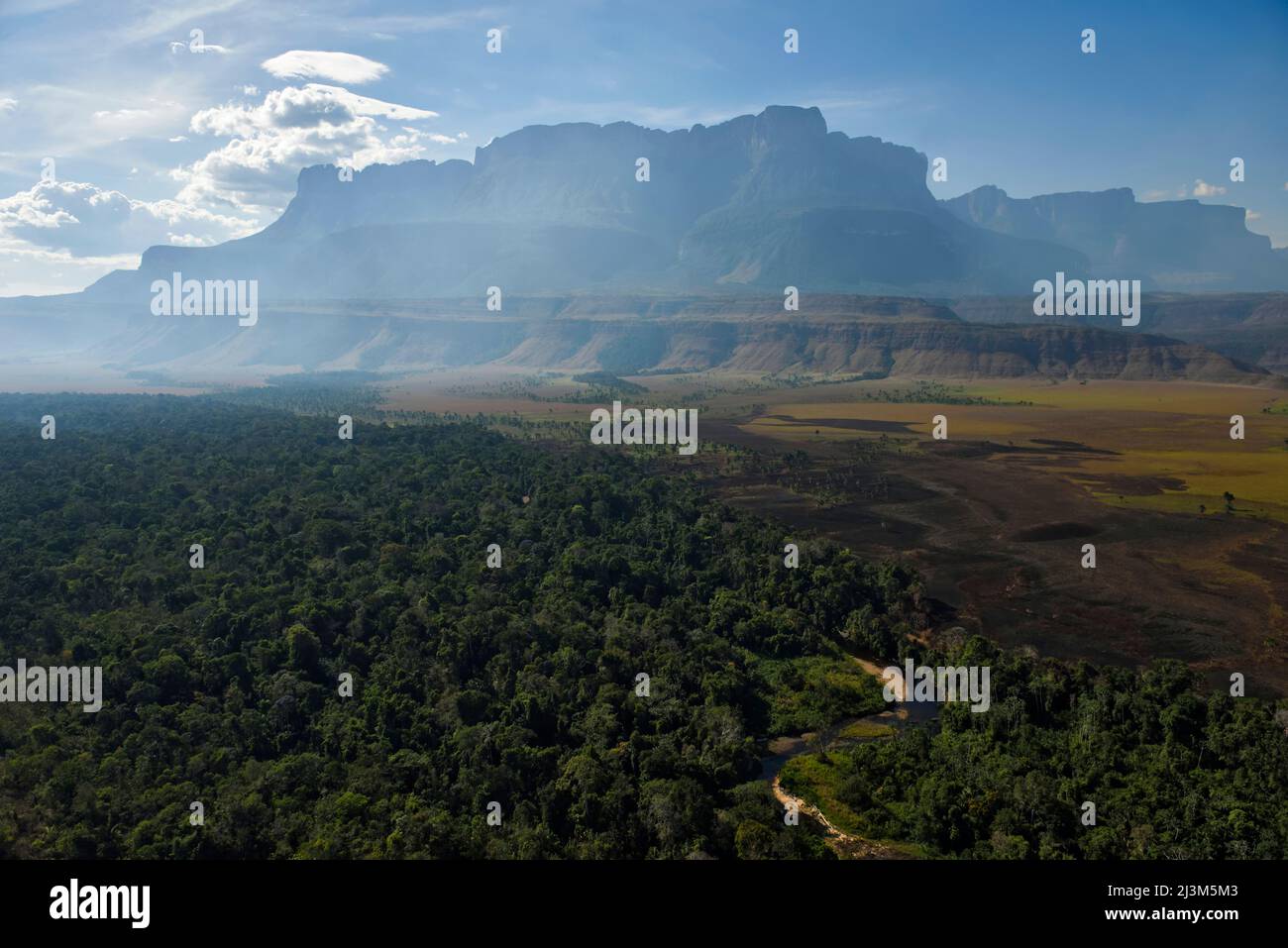 The southern cliffs of Auyan Tepui.; Gran Sabana, Venezuela Stock Photo ...