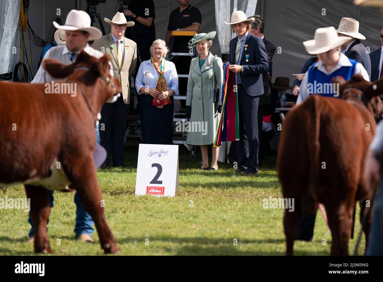 The Princess Royal watches the judging at the Sydney Royal Cattle Show ...